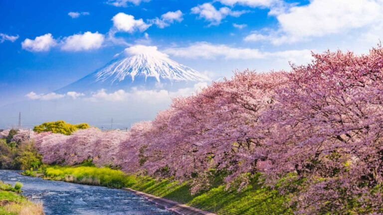 Best Time to Visit Japan | Seasonal Travel Guide 2026