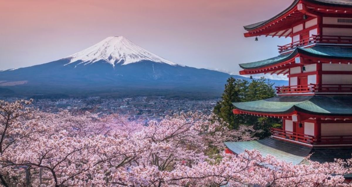 How to Plan a Trip to Japan | Complete Travel Guide